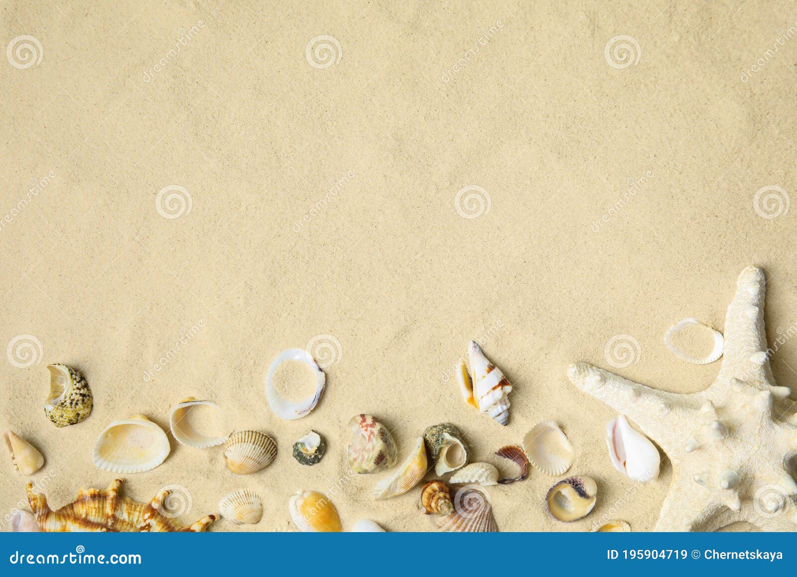 Different Beautiful Sea Shells and Starfish on Sand, Flat Lay. Space ...