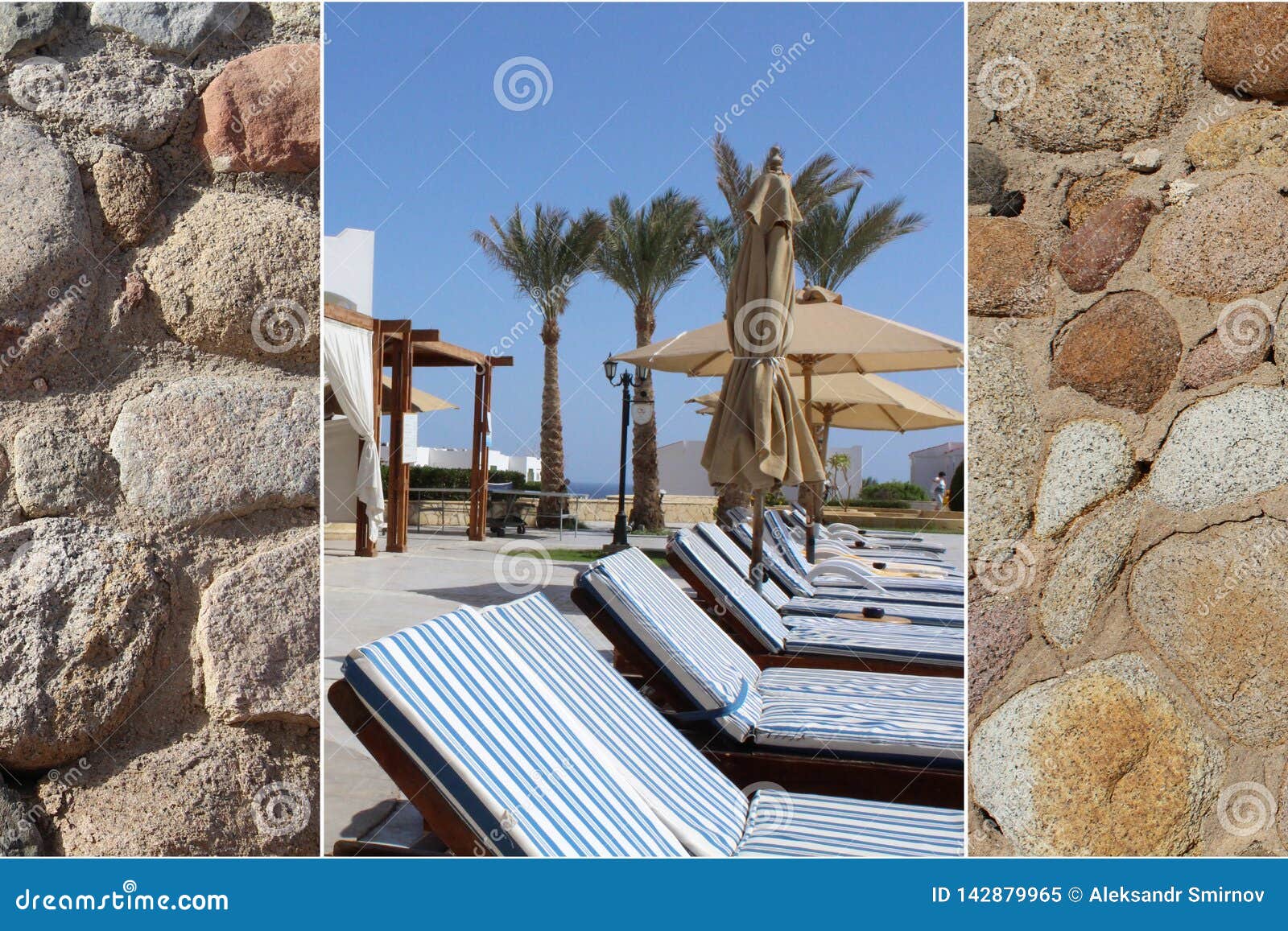 Different, Beautiful Textures of Nature in One Collage Stock Image ...