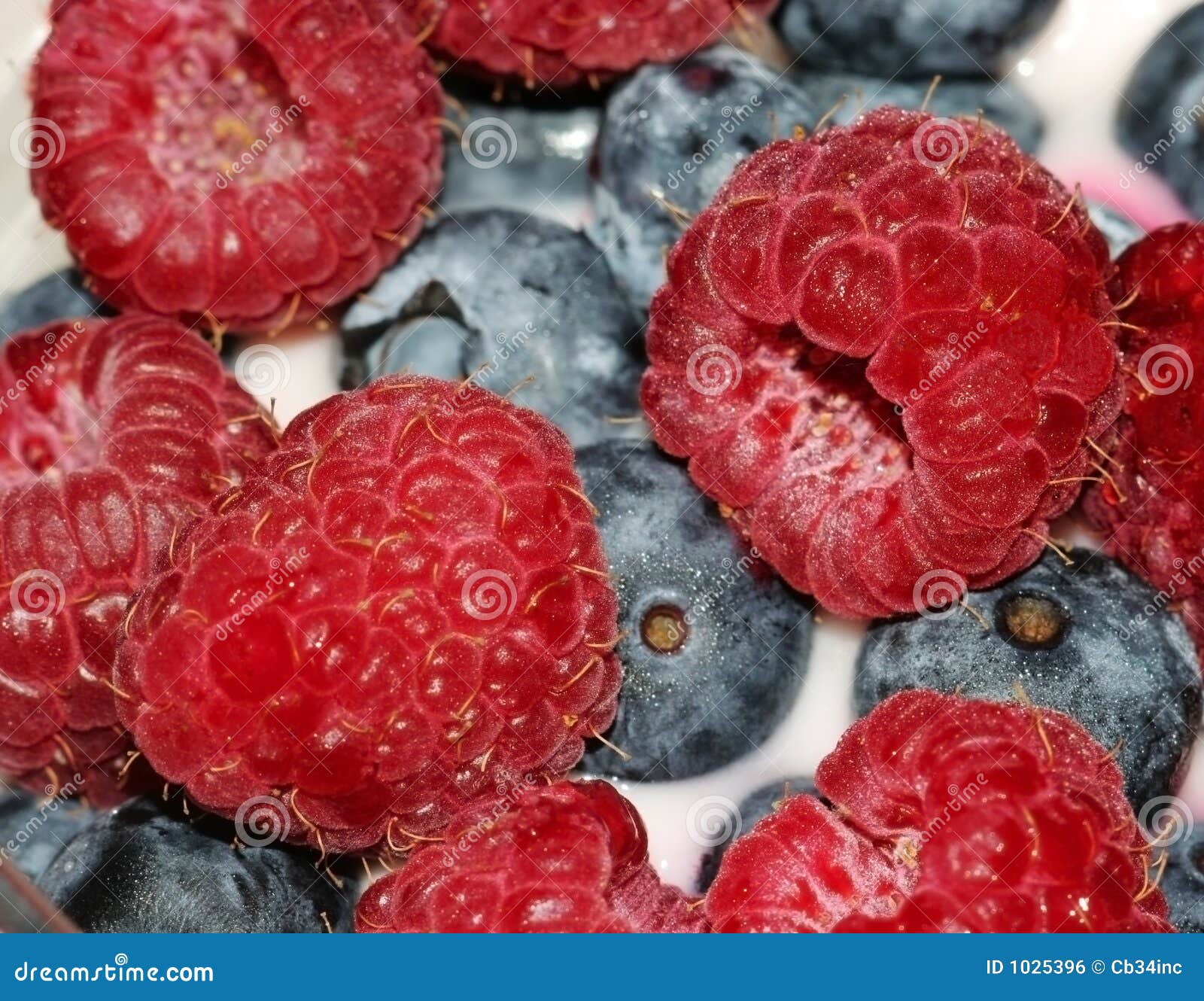 Different berries stock photo. Image of food, berry, dessert - 1025396