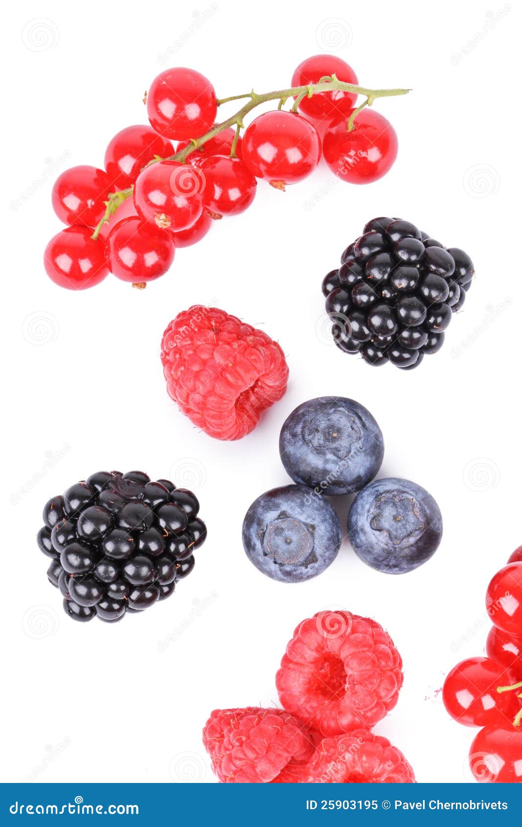 Different berries on white stock image. Image of berry - 25903195
