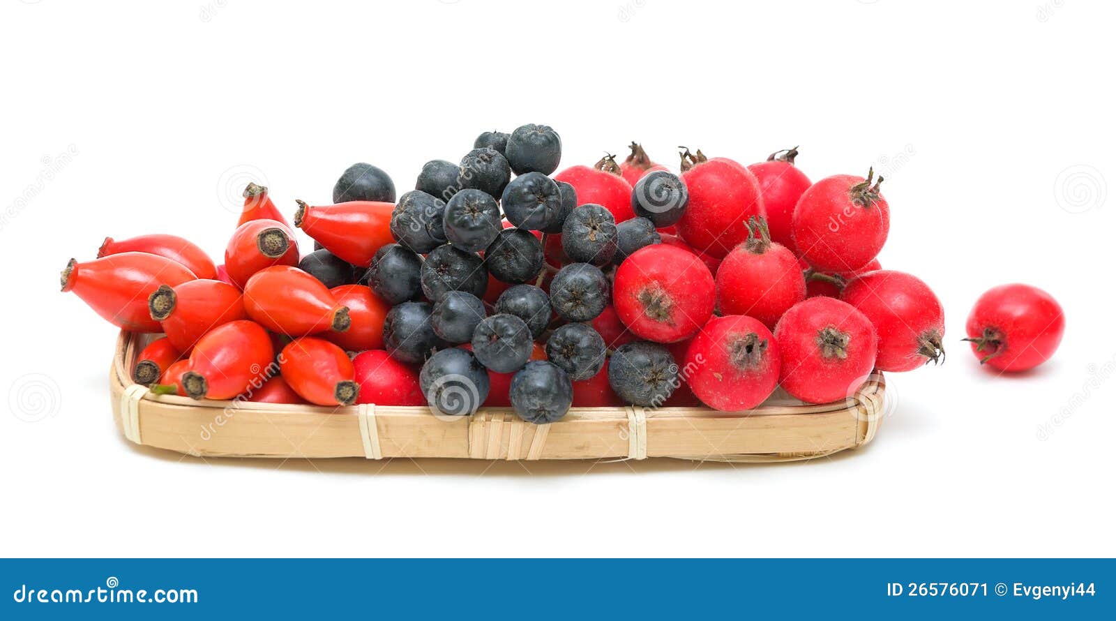 Different Berries on a White Background Stock Image - Image of symbol ...