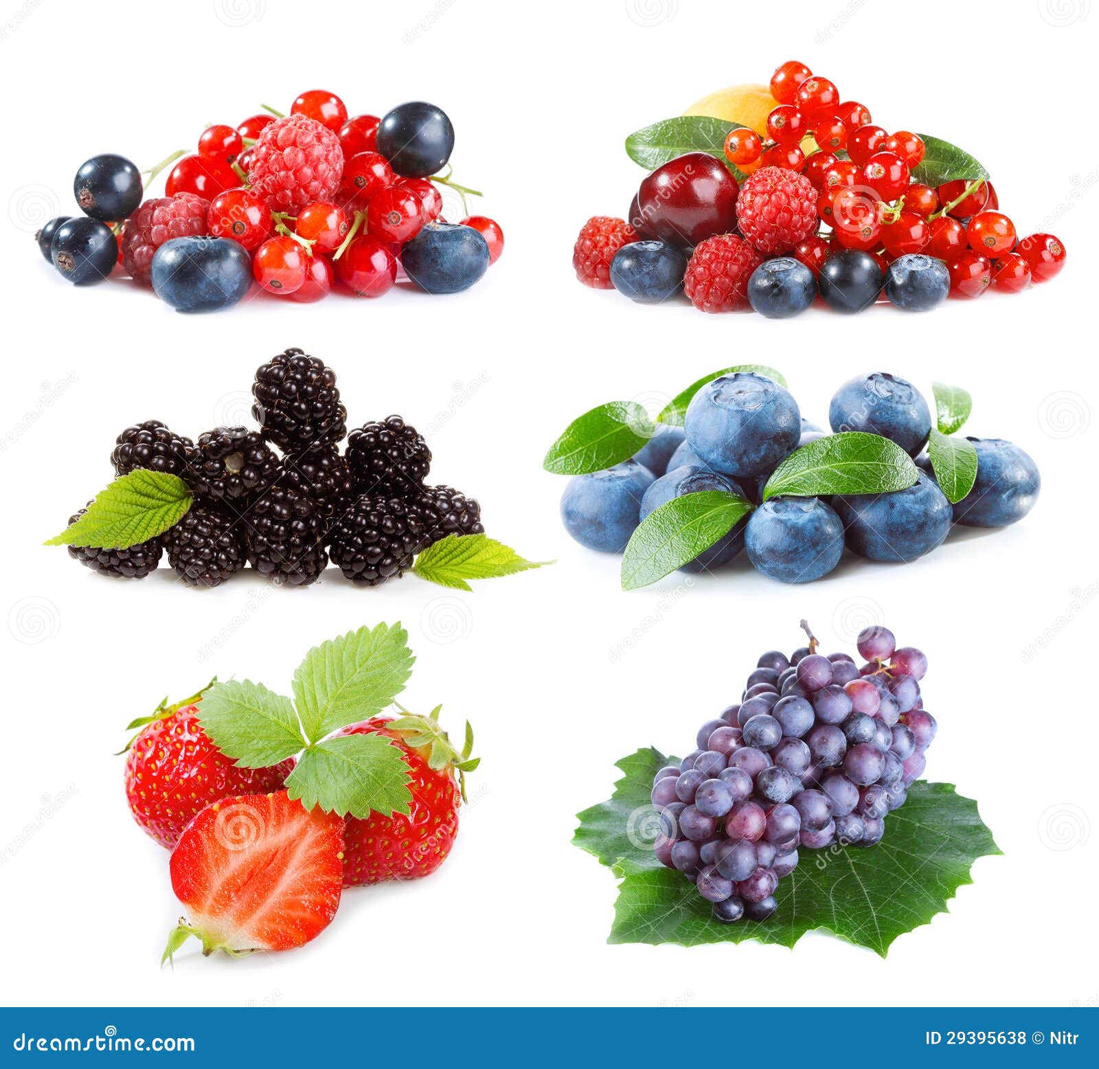 Different Berries on a White Background Stock Photo - Image of ...