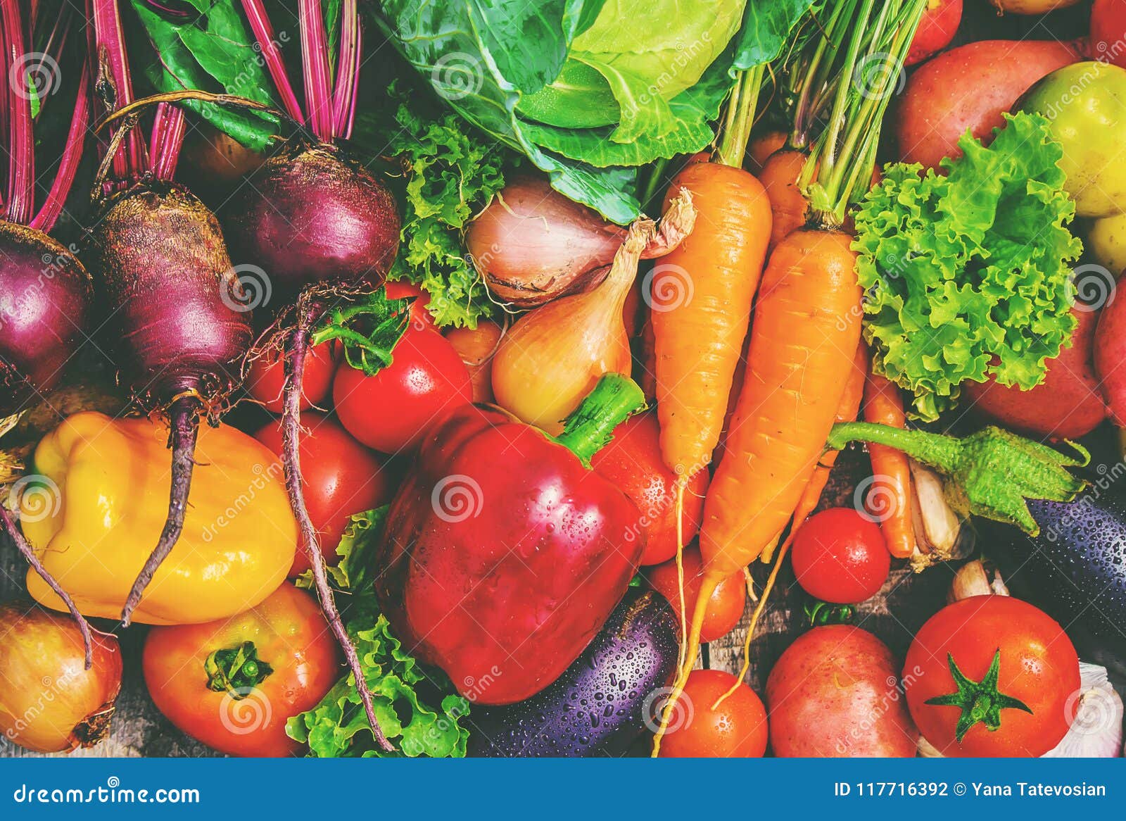 Different bio vegetables. stock photo. Image of food - 117716392