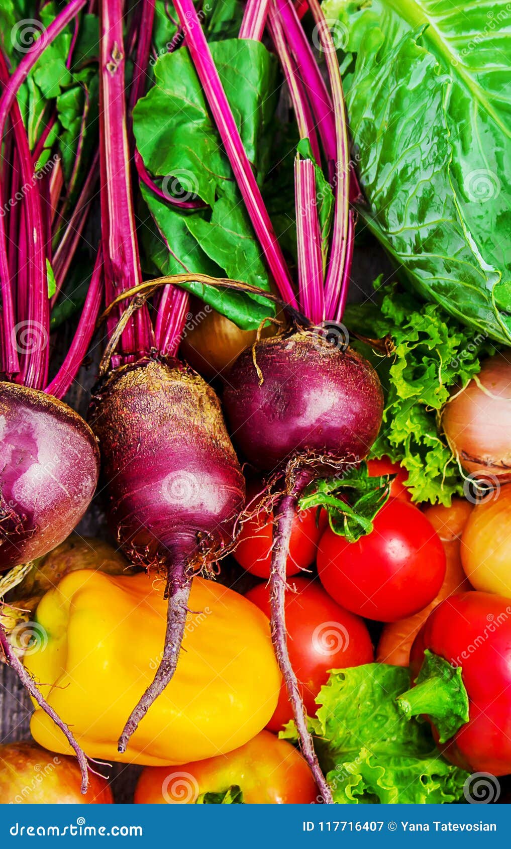 Different bio vegetables. stock image. Image of mogo - 117716407