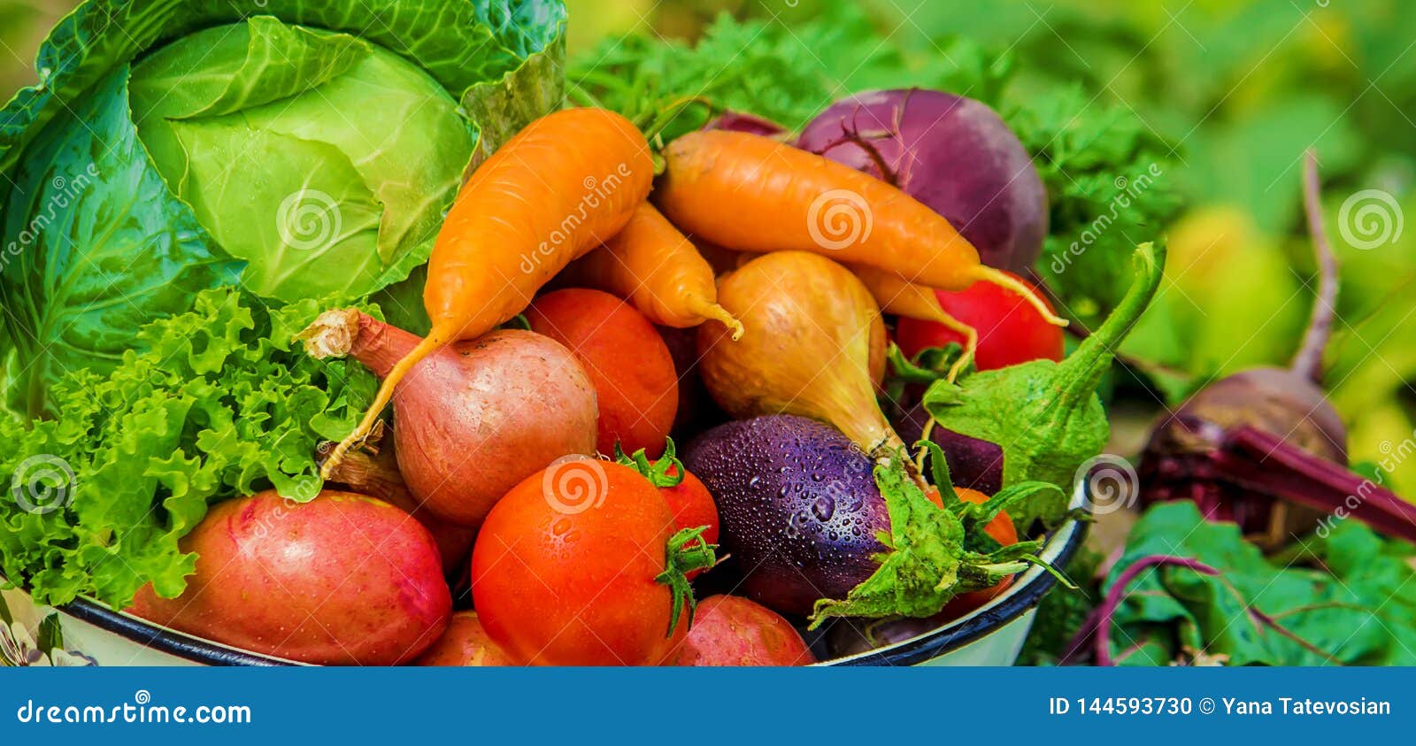 Different Bio Vegetables. Selective Focus. Food Nature Stock Photo ...