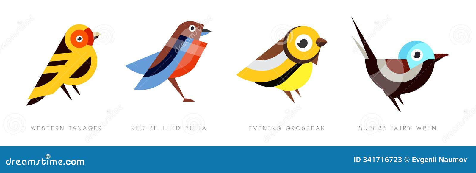 Different Bird Flat Icon with Name Vector Set Stock Illustration ...