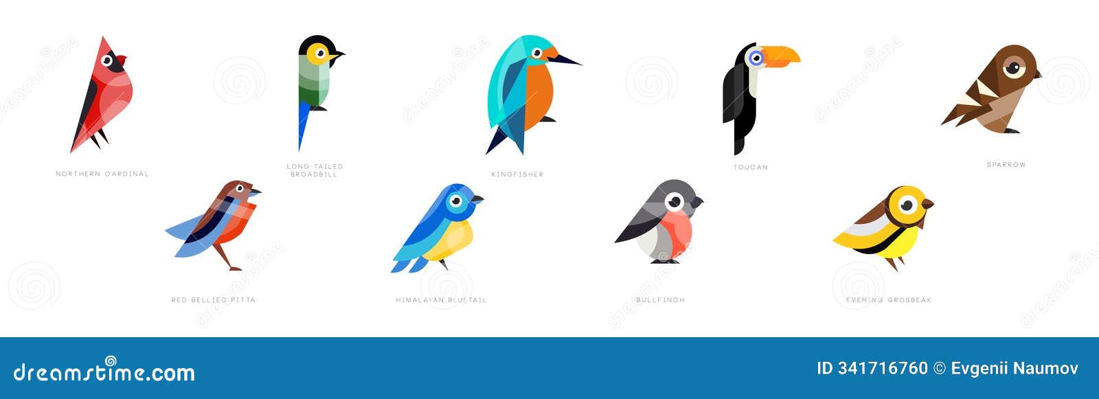 Different Bird Flat Icon with Name Vector Set Stock Vector ...