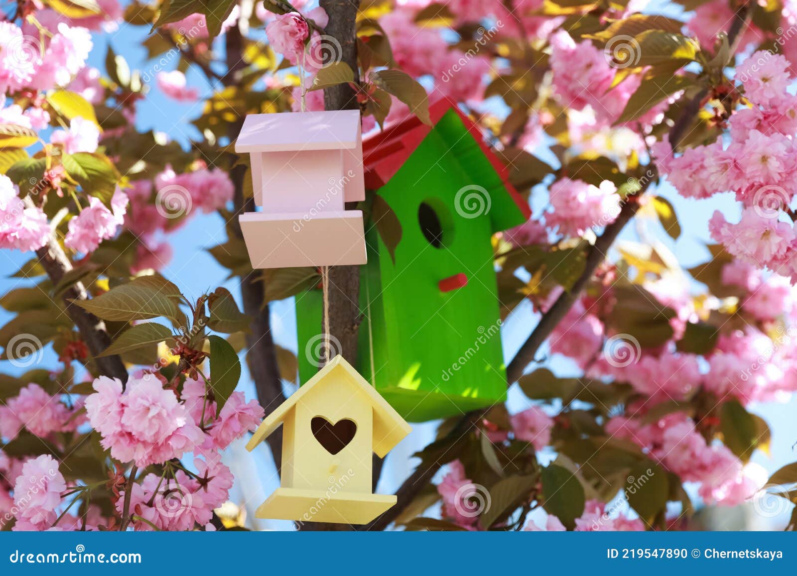 Different Bird Houses on Tree Branches Outdoors Stock Photo - Image of ...