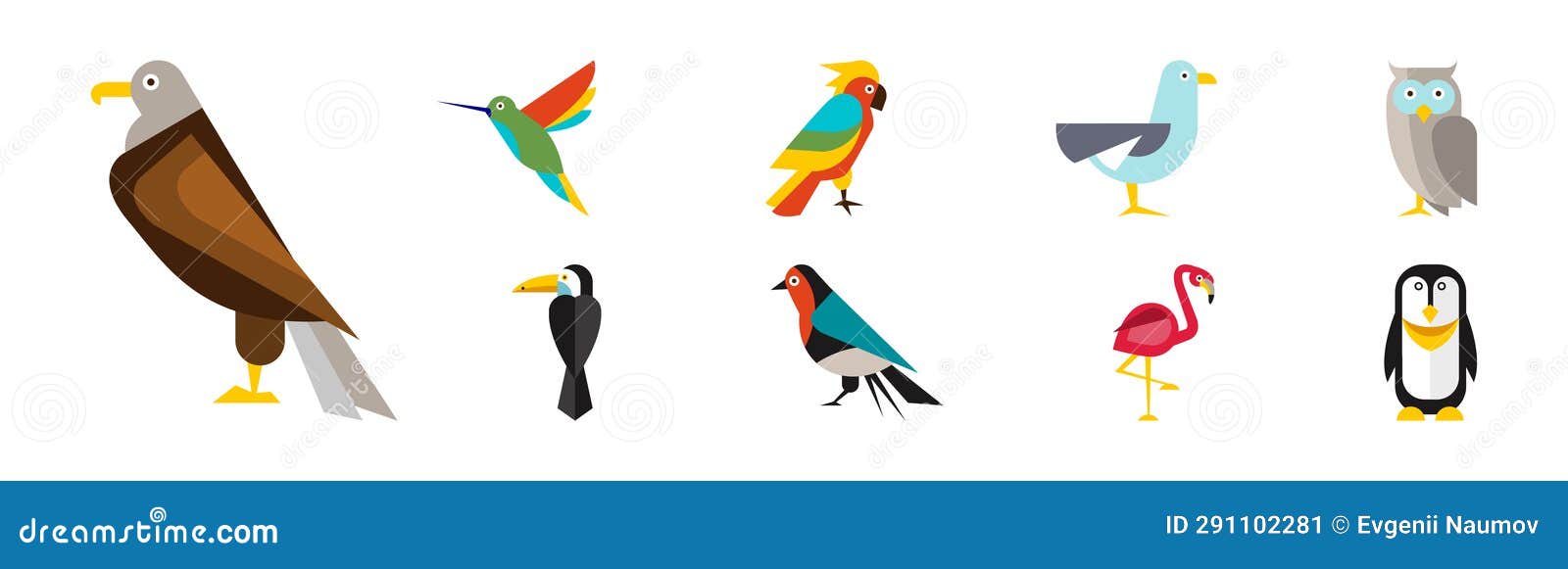 Different Birds and Avians As Feathered Flying Creature Vector Set ...