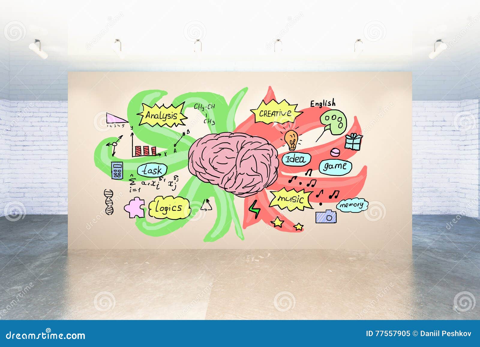 Different Brain Sides Concept Stock Illustration - Illustration of left ...