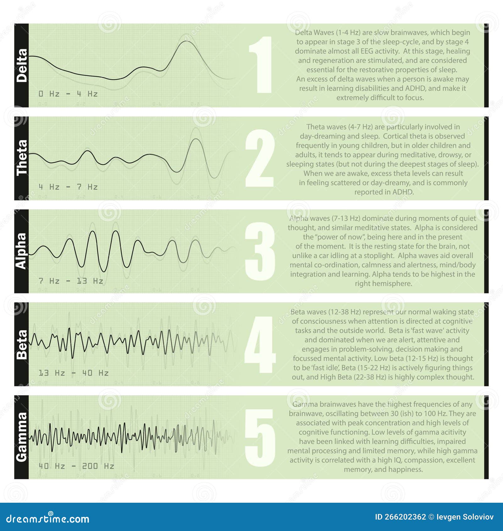 Different Brain Waves Diagrams Stock Vector - Illustration of computer ...