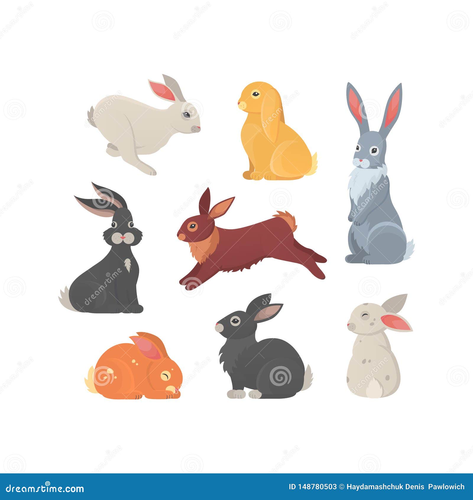 Rabbits Breeds Chart Vector Illustration | CartoonDealer.com #111212194