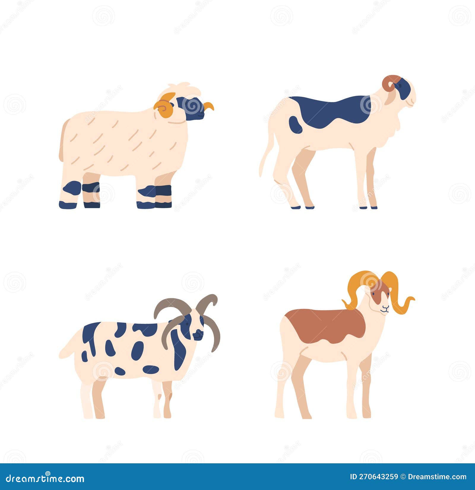 Different Breeds of Sheep with Distinct Fur Patterns and Colors ...