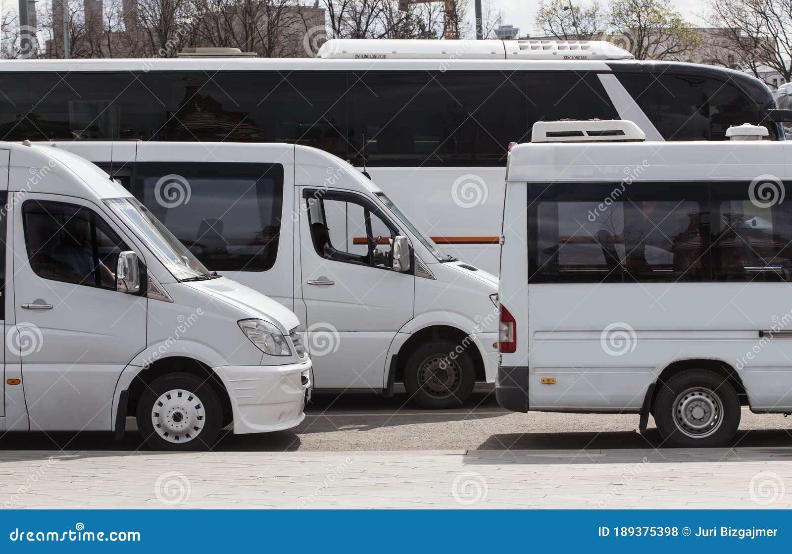 Different Buses in the Parking Lot Stock Photo - Image of road, auto ...