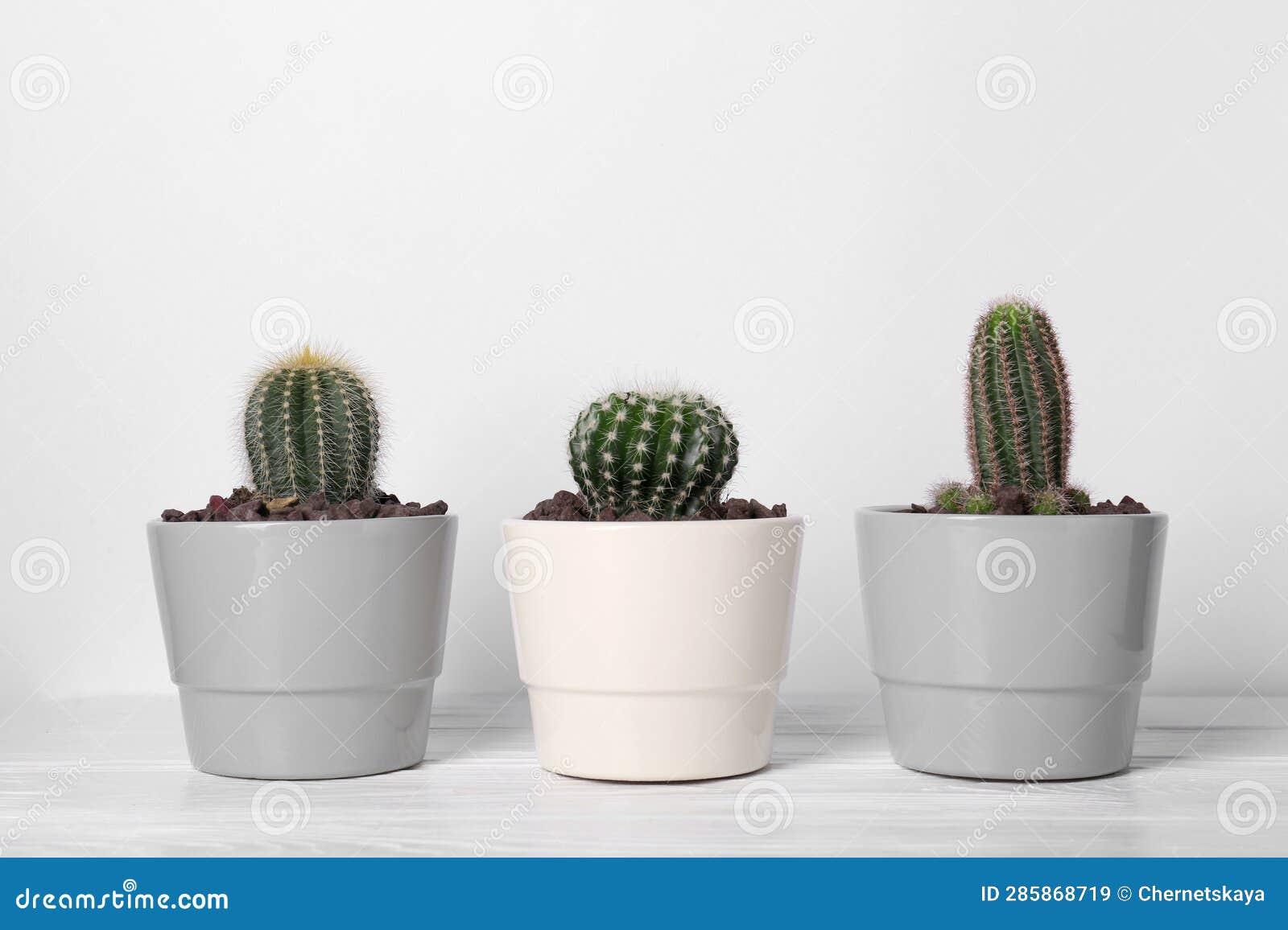 Different Cacti in Pots on White Wooden Table Stock Image - Image of ...