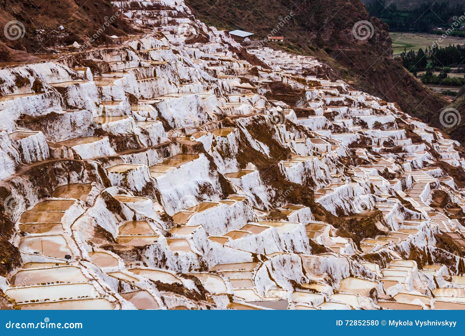 Different Cells with Salt Water Stock Photo - Image of mystical, brown ...