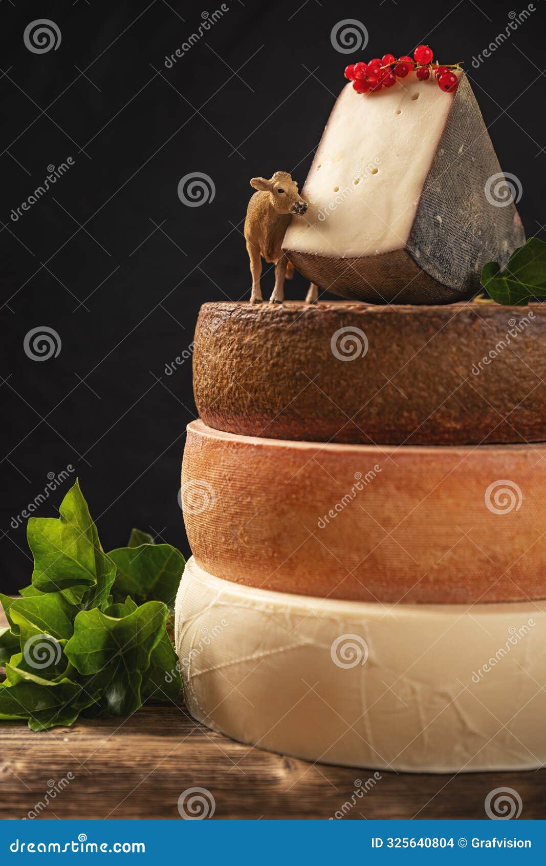 Different cheese wheel stock illustration. Illustration of tradition ...