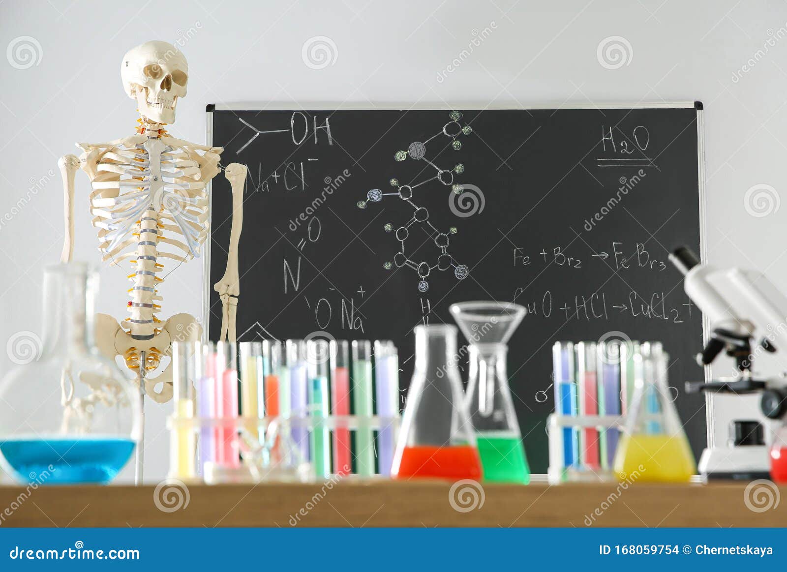 Different Chemistry Glassware and Skeleton in Classroom Stock Photo ...
