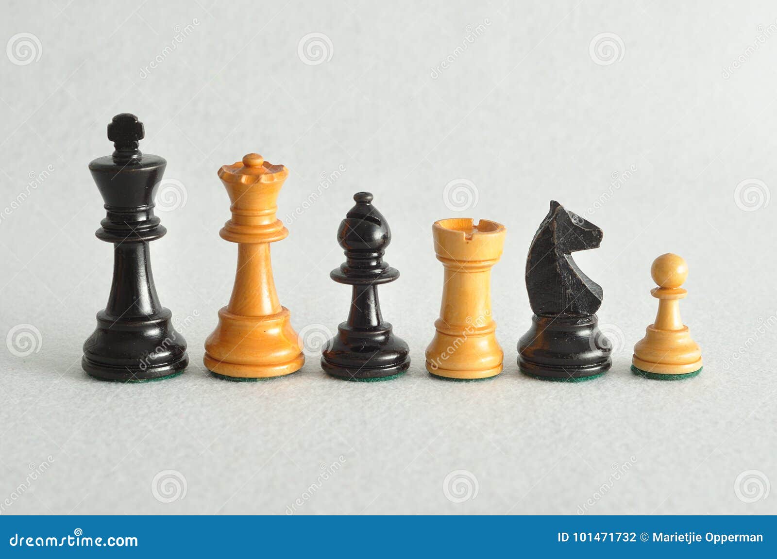 The different chess pieces stock photo. Image of collection - 101471732