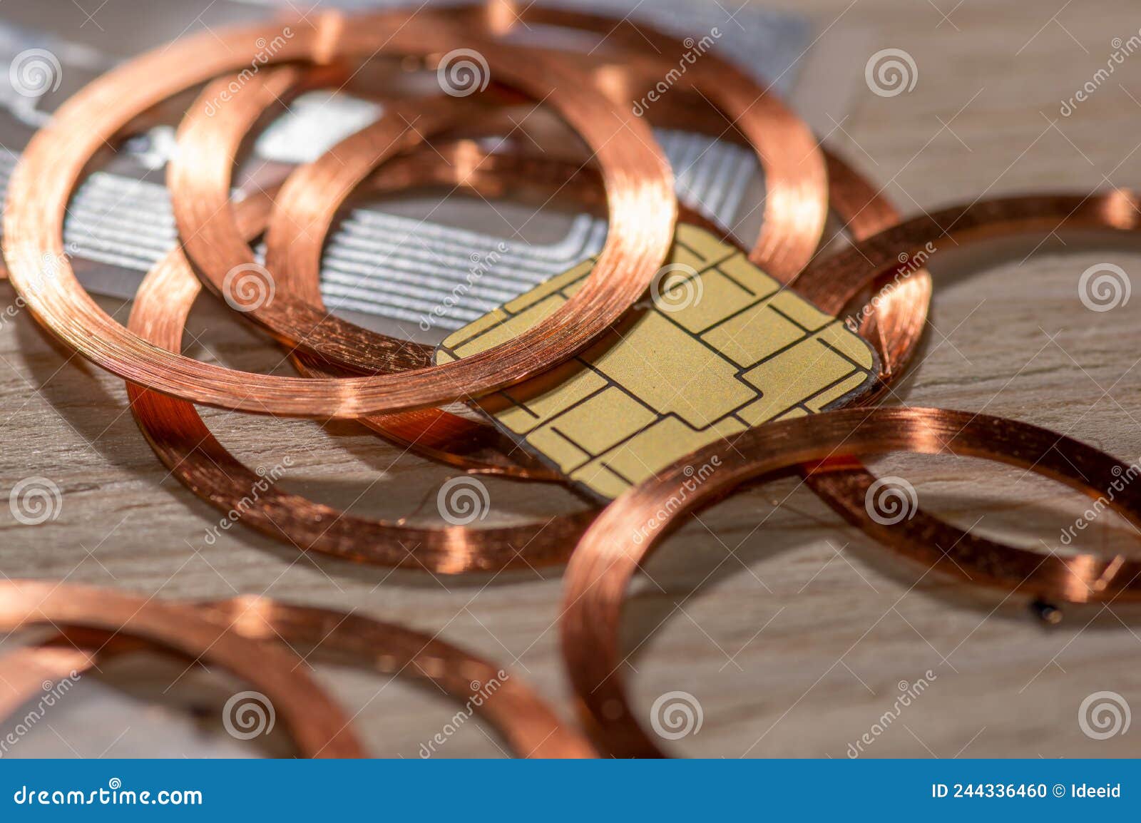 Different Chip Types, Contact Chip, RFID Combination Stock Photo ...