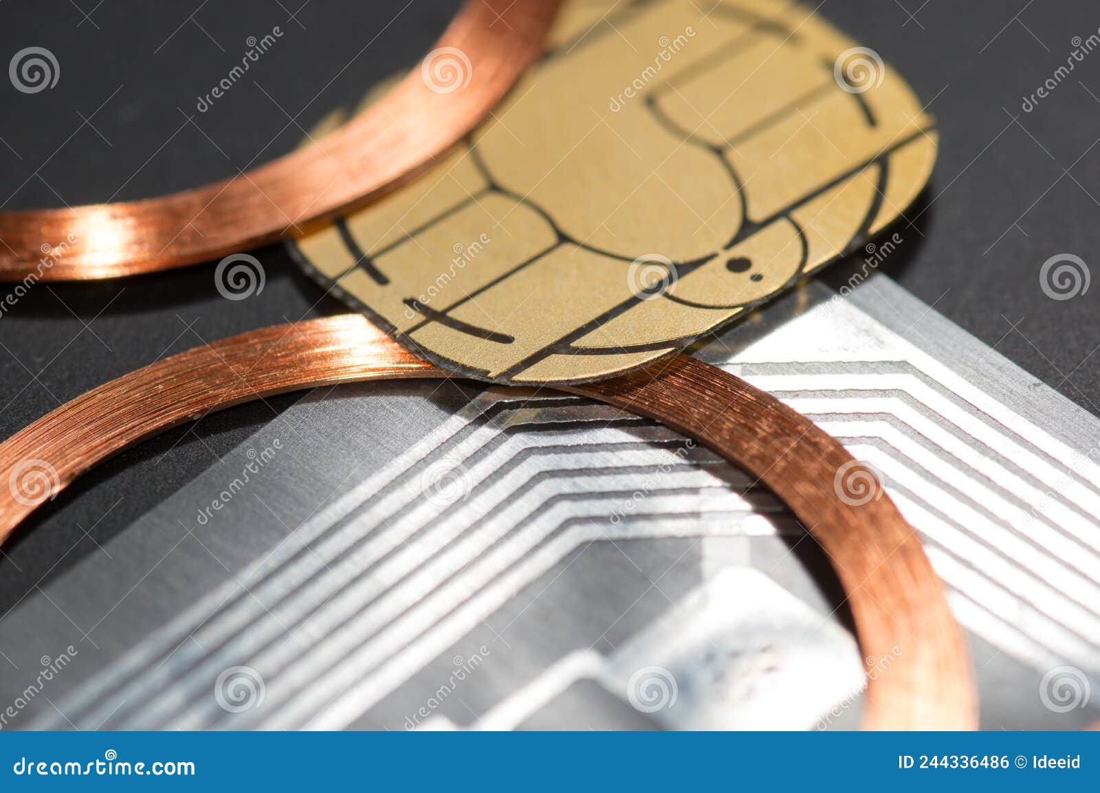Different Chip Types, Contact Chip, RFID Combination Stock Photo ...
