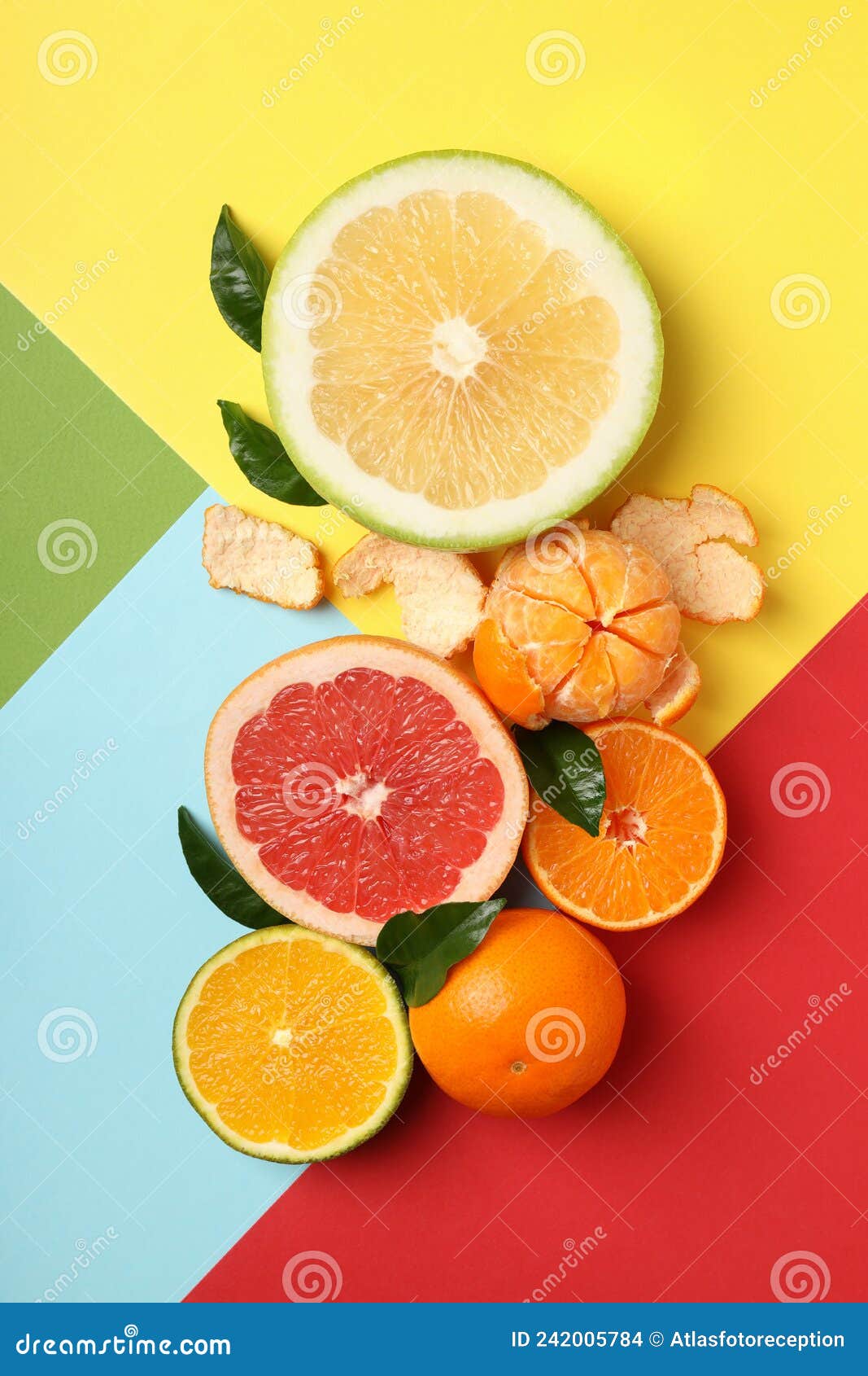 Different Citrus Fruits on Multi Color Background Stock Photo - Image ...