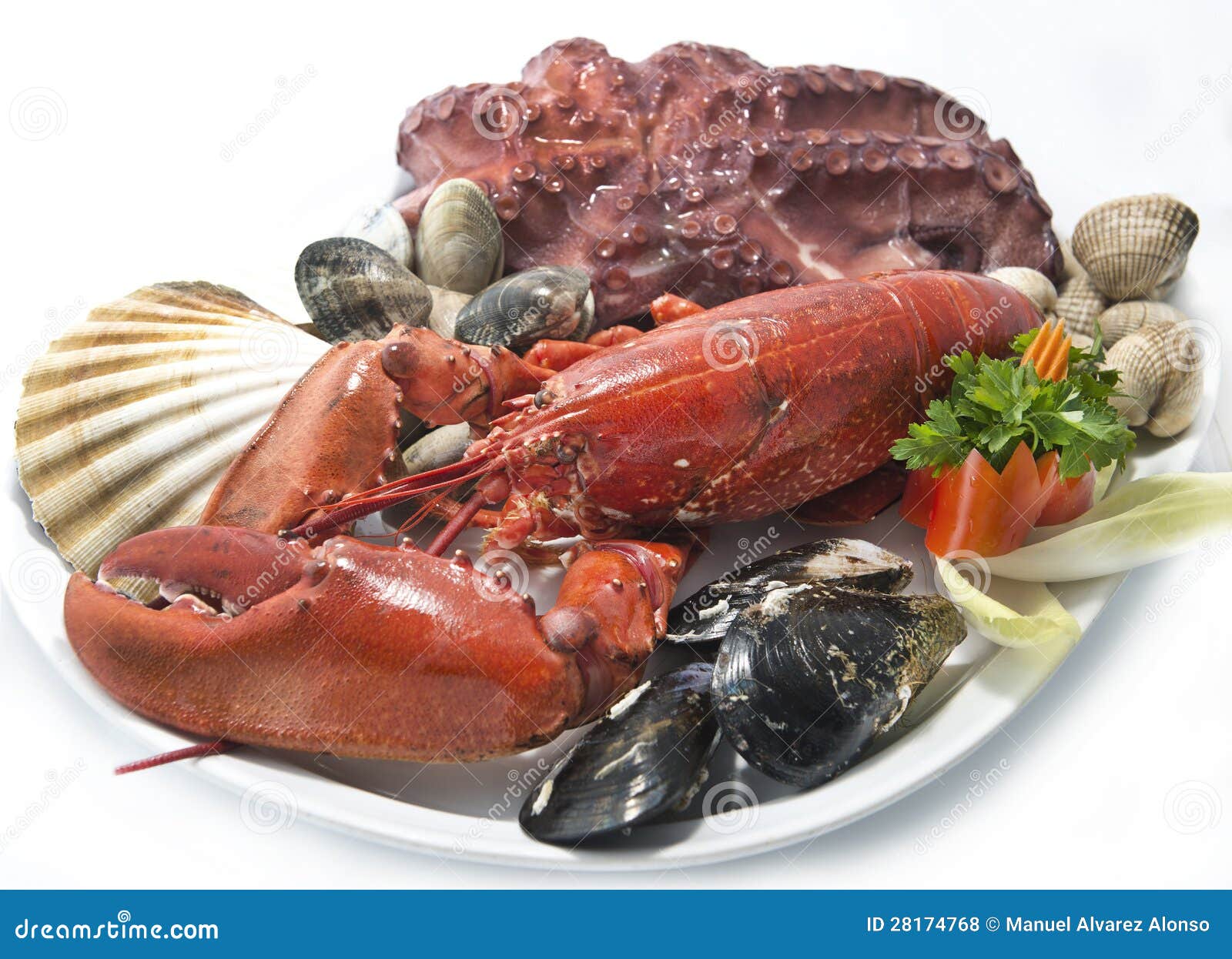 Different class of Seafood stock photo. Image of food - 28174768