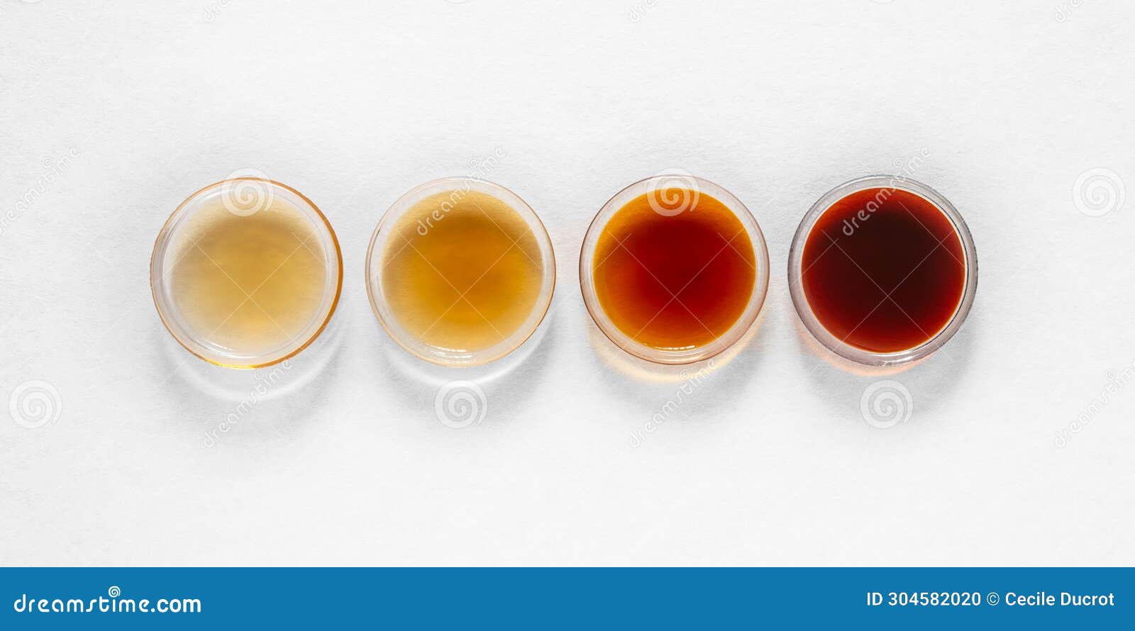 Different Types of Maple Syrup Stock Photo - Image of golden, food ...
