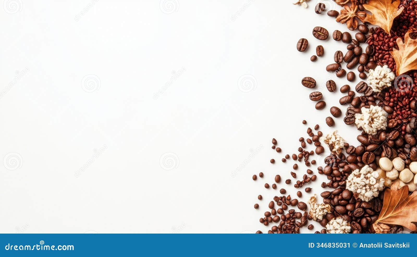 Different Coffee Beans are Arranged on a White Background, Creating an ...