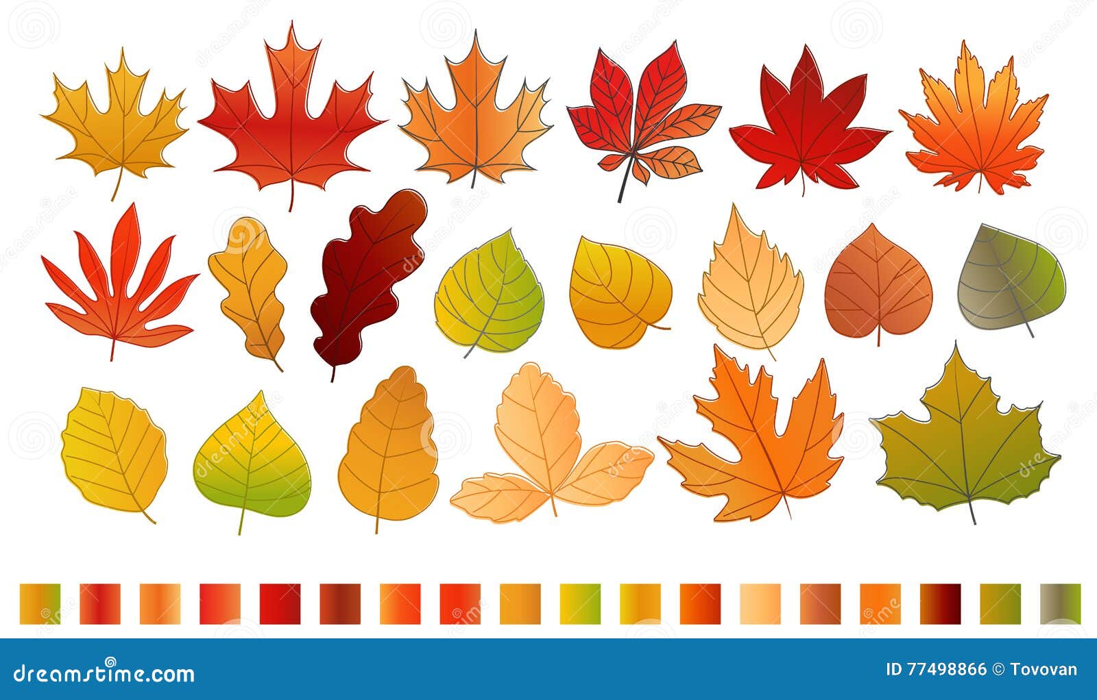 Different Color Autumn Leaves Vector Collection Stock Vector ...