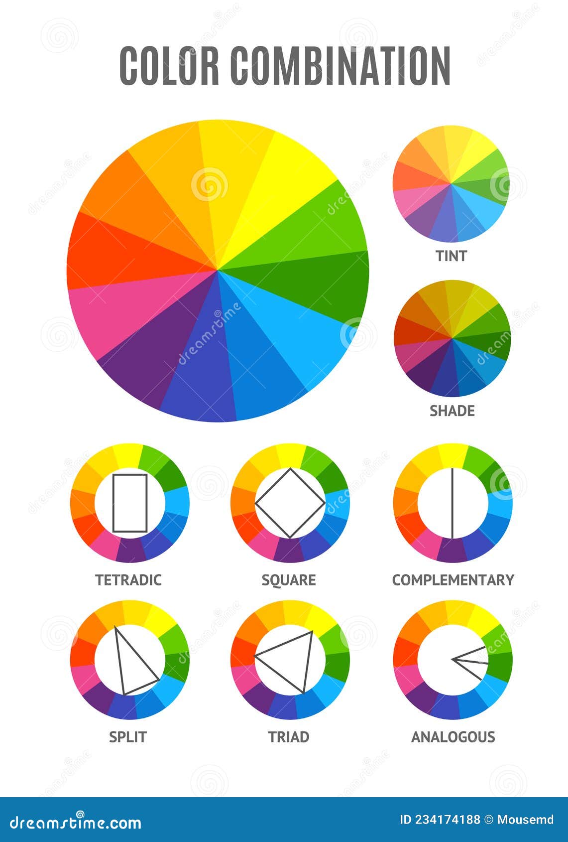 Different Color Circle Palette Combination Set. Vector Stock Vector ...