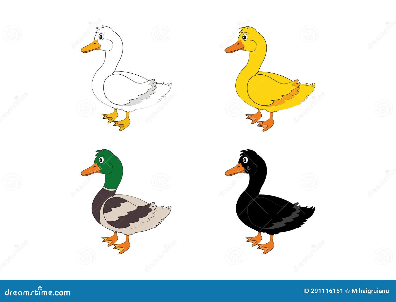 Different Color Ducks. Vector Duck Stock Illustration - Illustration of ...