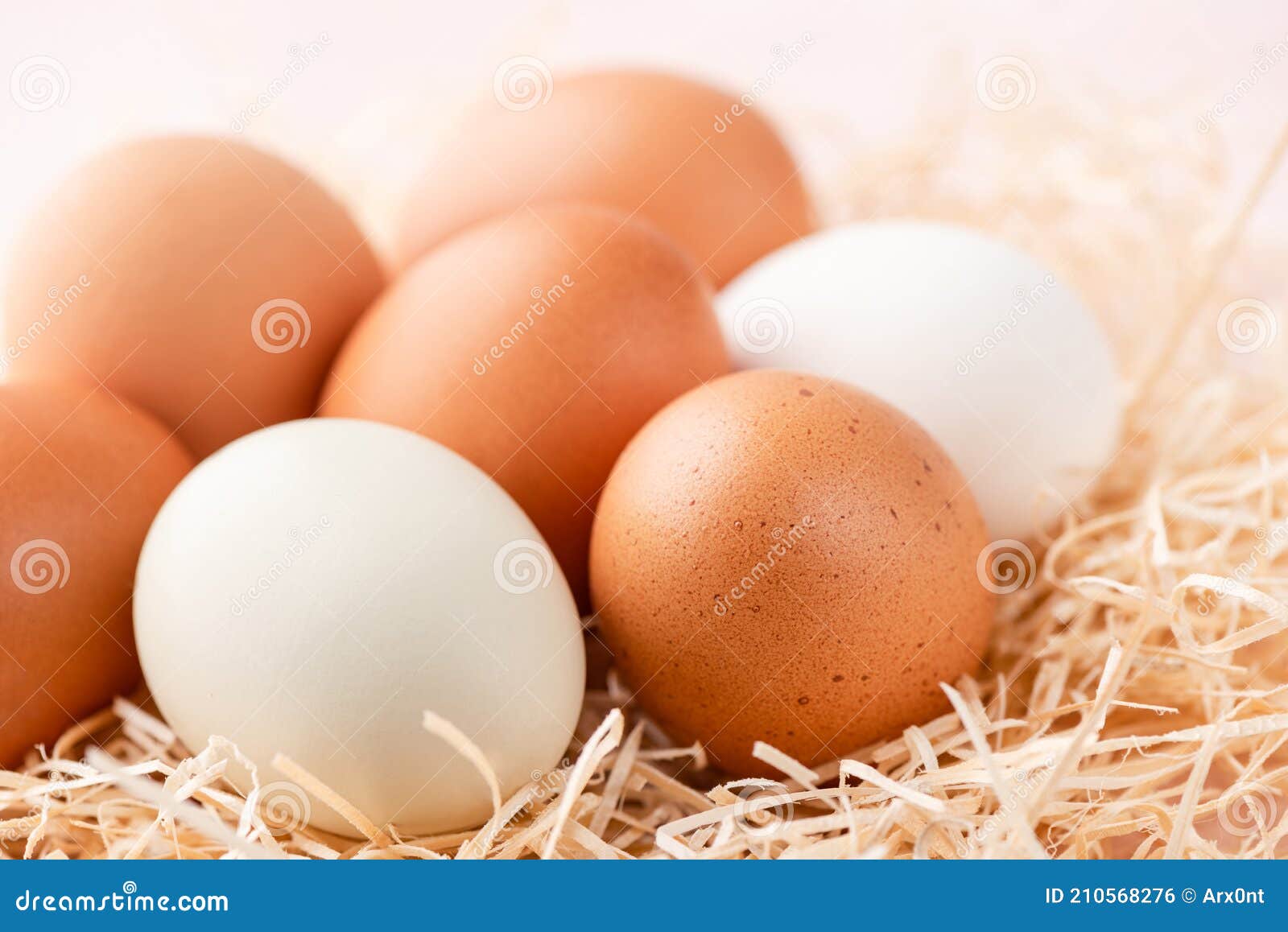 Different color eggs stock photo. Image of shell, boiled - 210568276