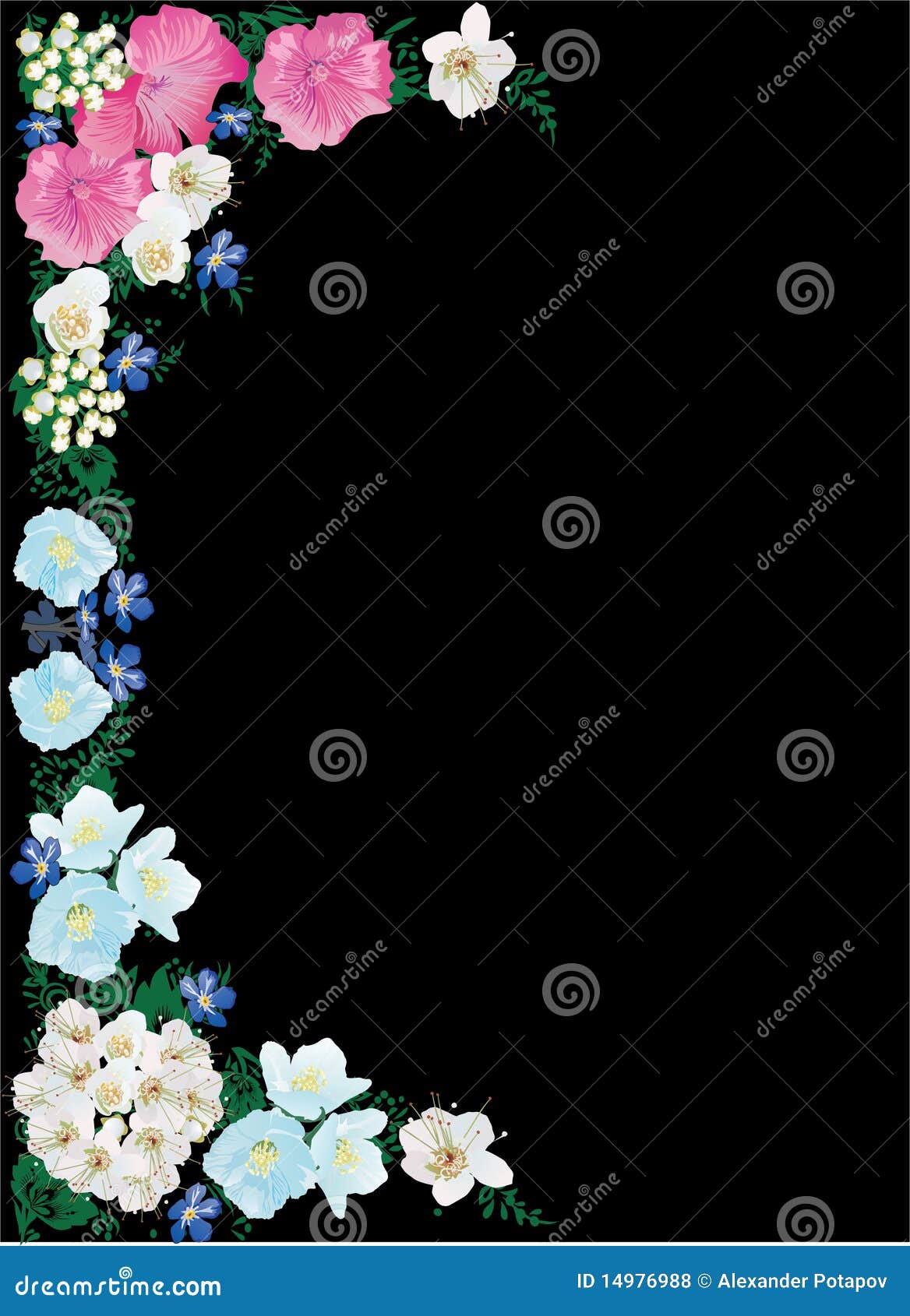 Different Color Flowers Half Frame on Black Stock Vector - Illustration ...