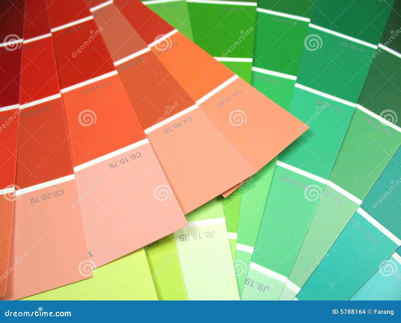 Different color swatches stock photo. Image of tone, redecorating - 5788164