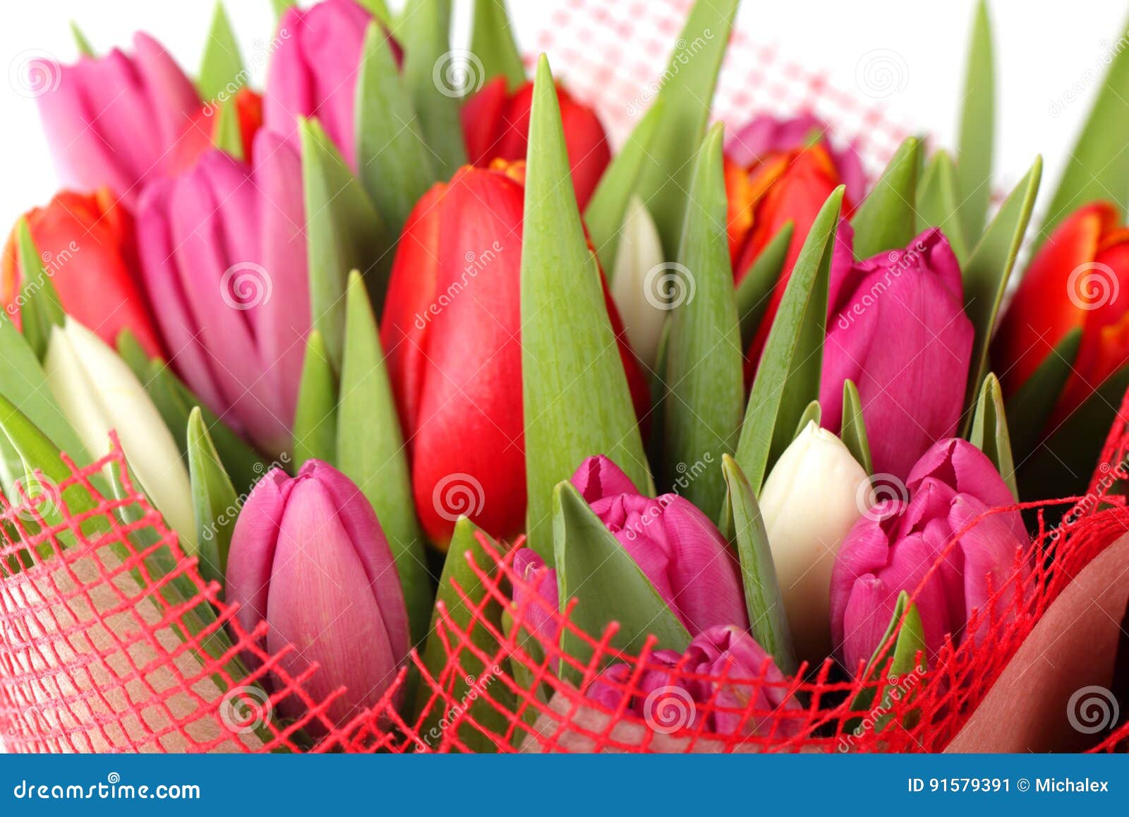 Different Color Tulip Flowers Stock Image - Image of growth, bouquet ...