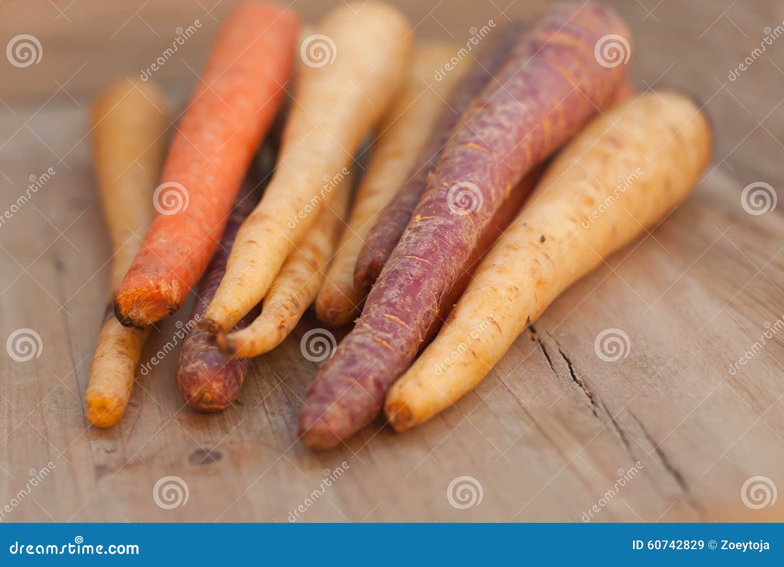 Different Colored Fresh Picked Assorted Carrots Stock Image - Image of ...