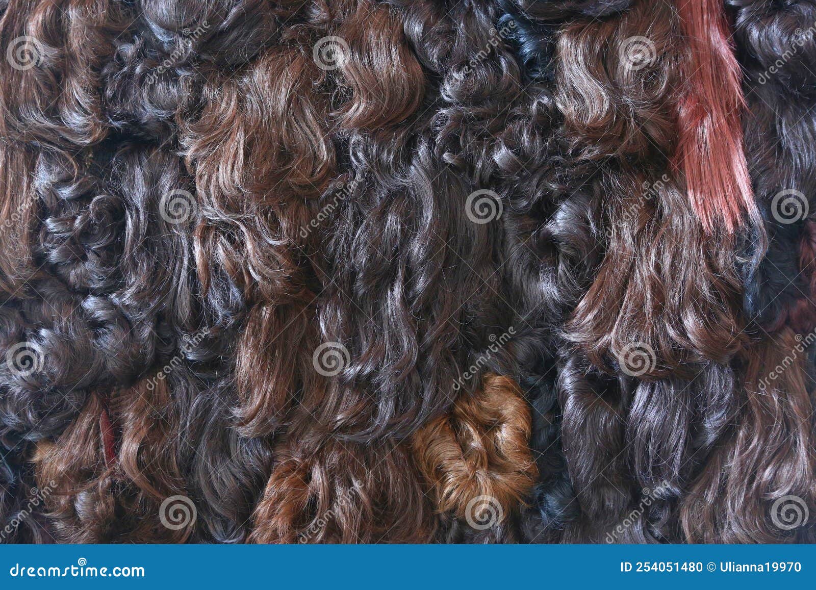 Different Colored Hair Texture Close Up Photo Stock Photo - Image of ...