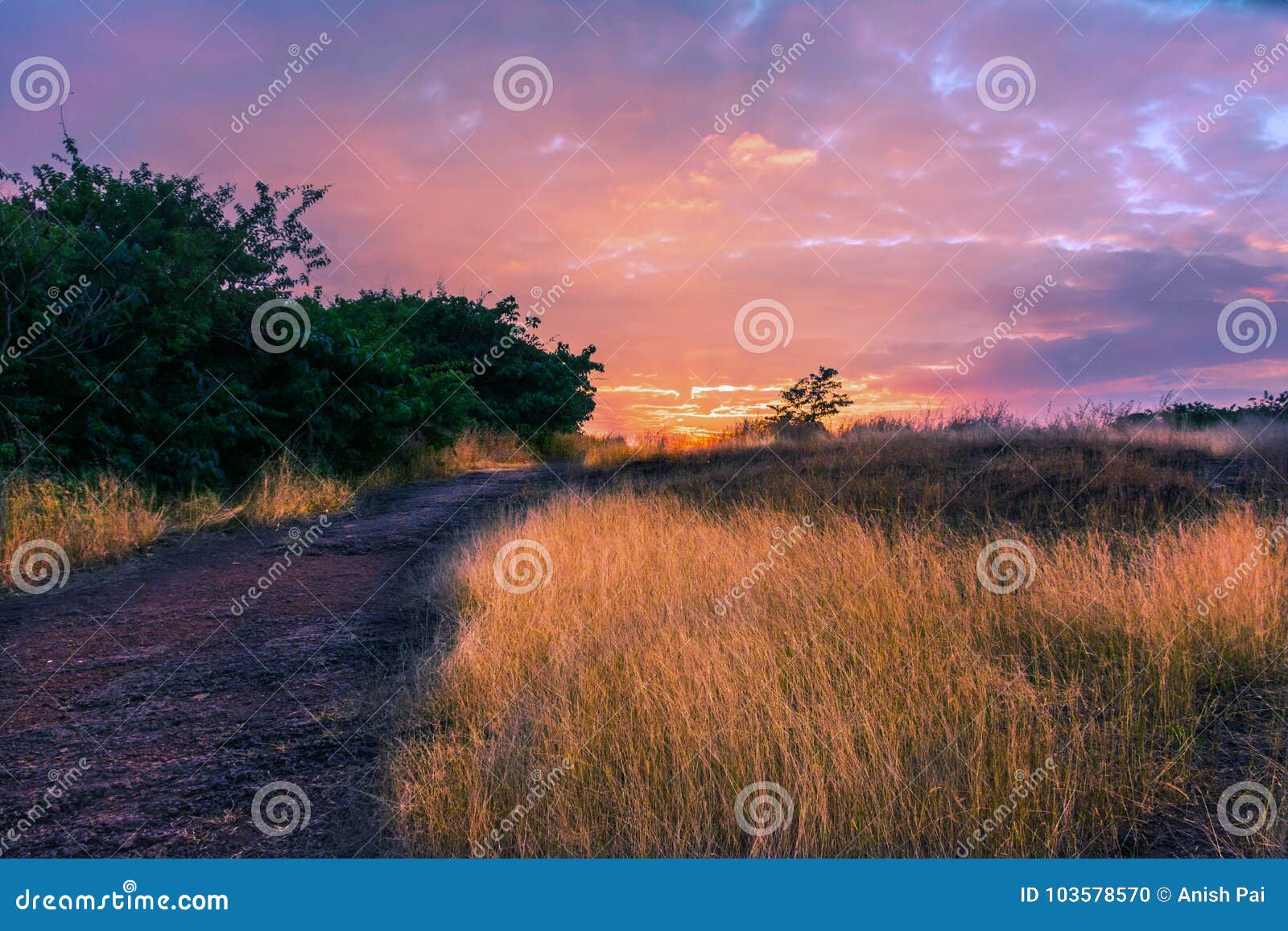 Mesmerizing Landscape stock photo. Image of colours - 103578570
