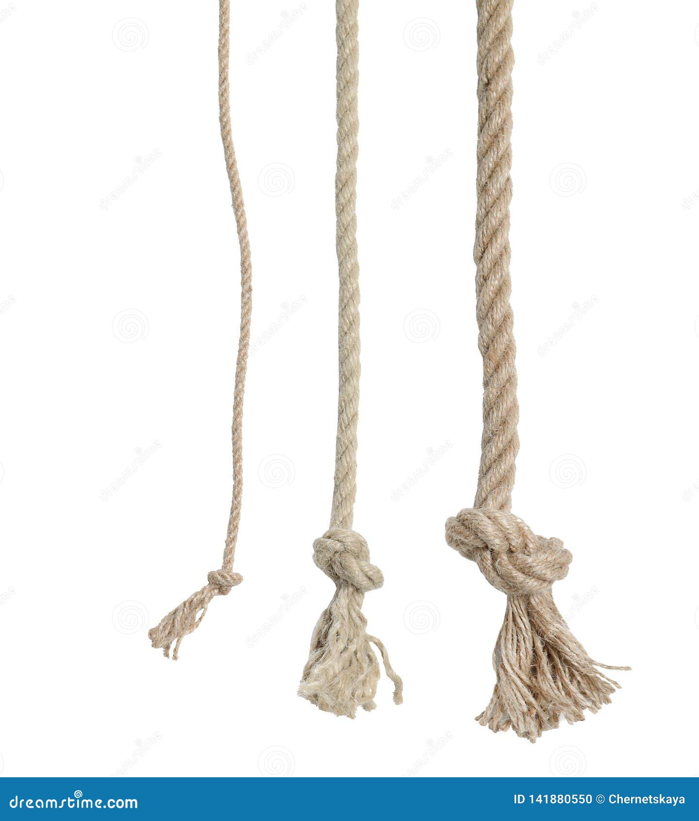 Different Cotton Ropes with Knots Stock Photo - Image of lasso, cotton ...