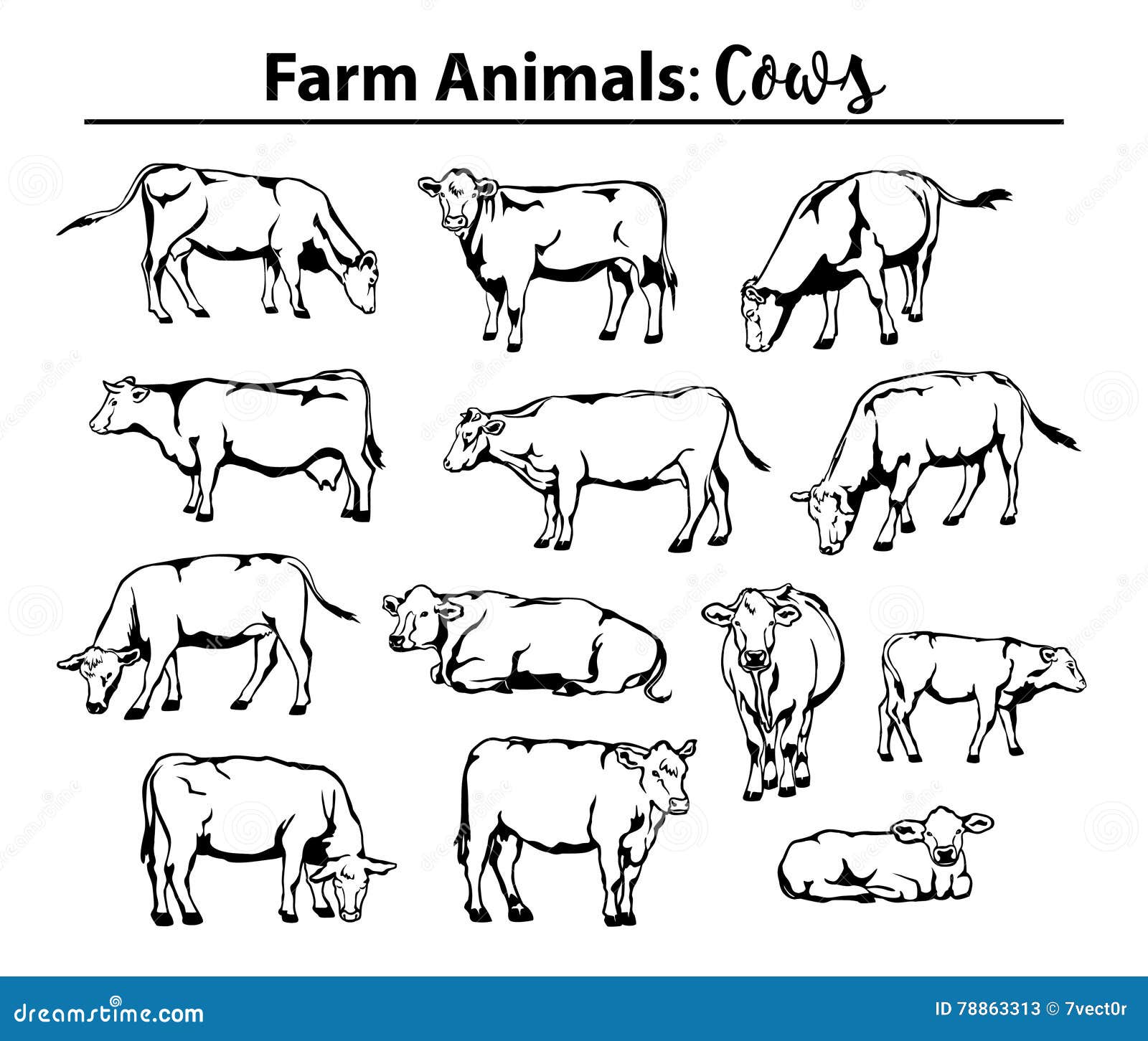 Different Cows Set in Contour, Outline. Stock Vector - Illustration of ...