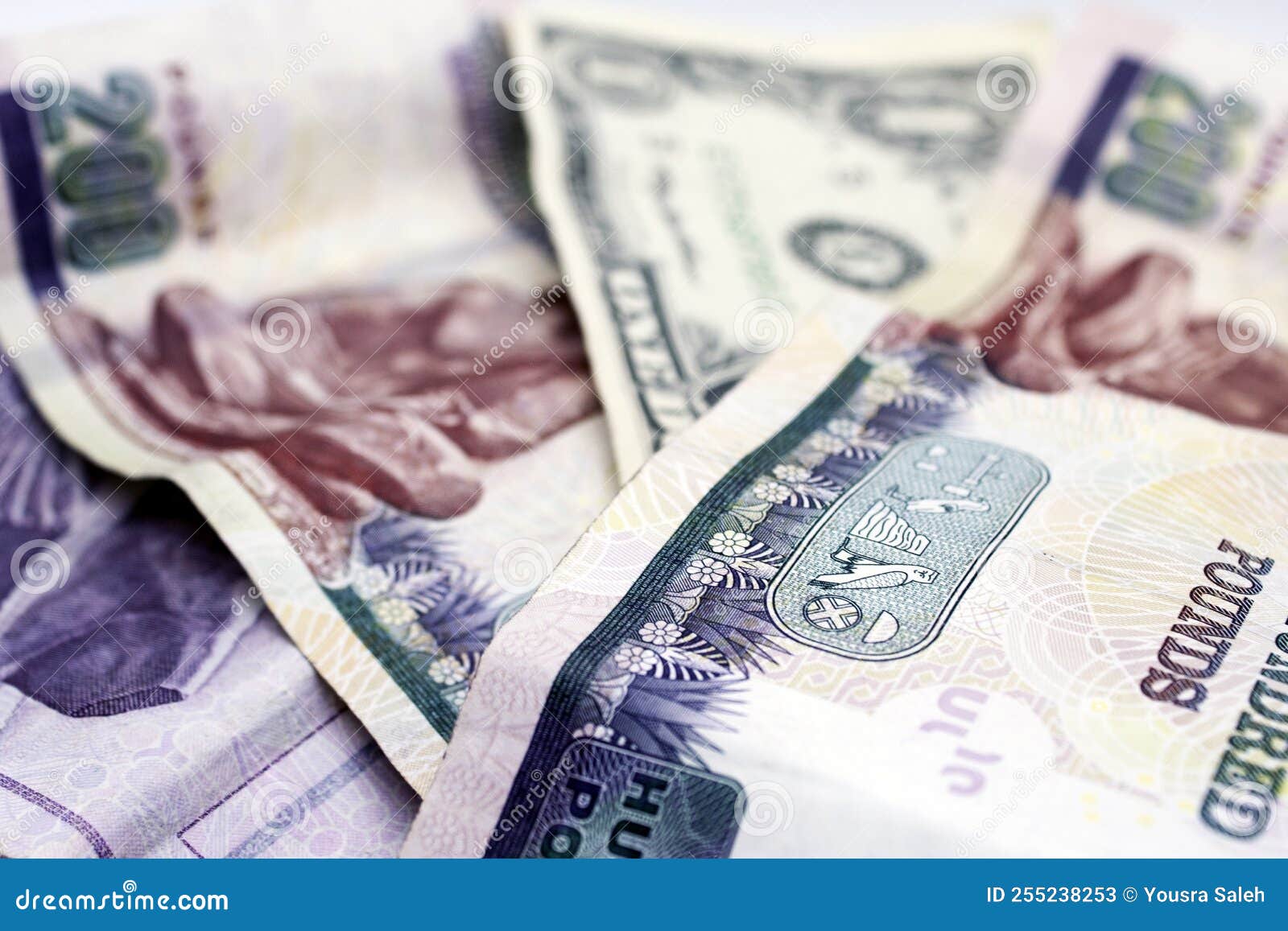 Currency stock image. Image of bank, currencies, texture - 255238253
