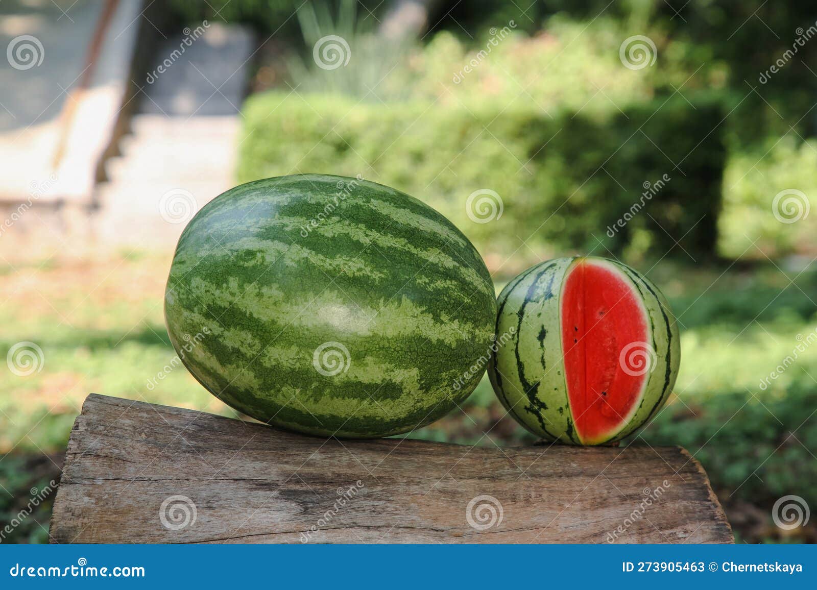 Different Delicious Ripe Watermelons on Log Outdoors Stock Image ...
