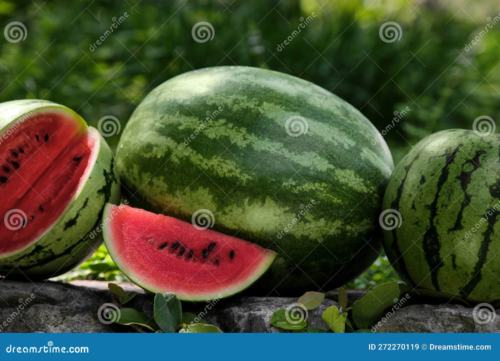 Different Delicious Ripe Watermelons on Stone Surface Outdoors, Closeup ...