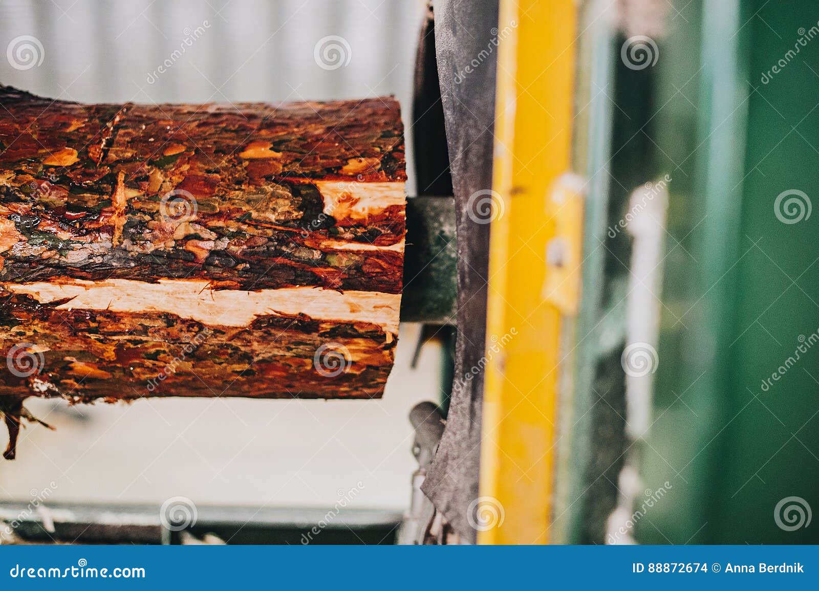 Tree Trunk in Woodworking Machine Stock Photo - Image of factory ...
