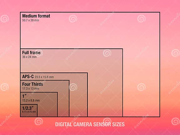 Digital Camera Sensor Sizes Comparison Stock Illustration ...