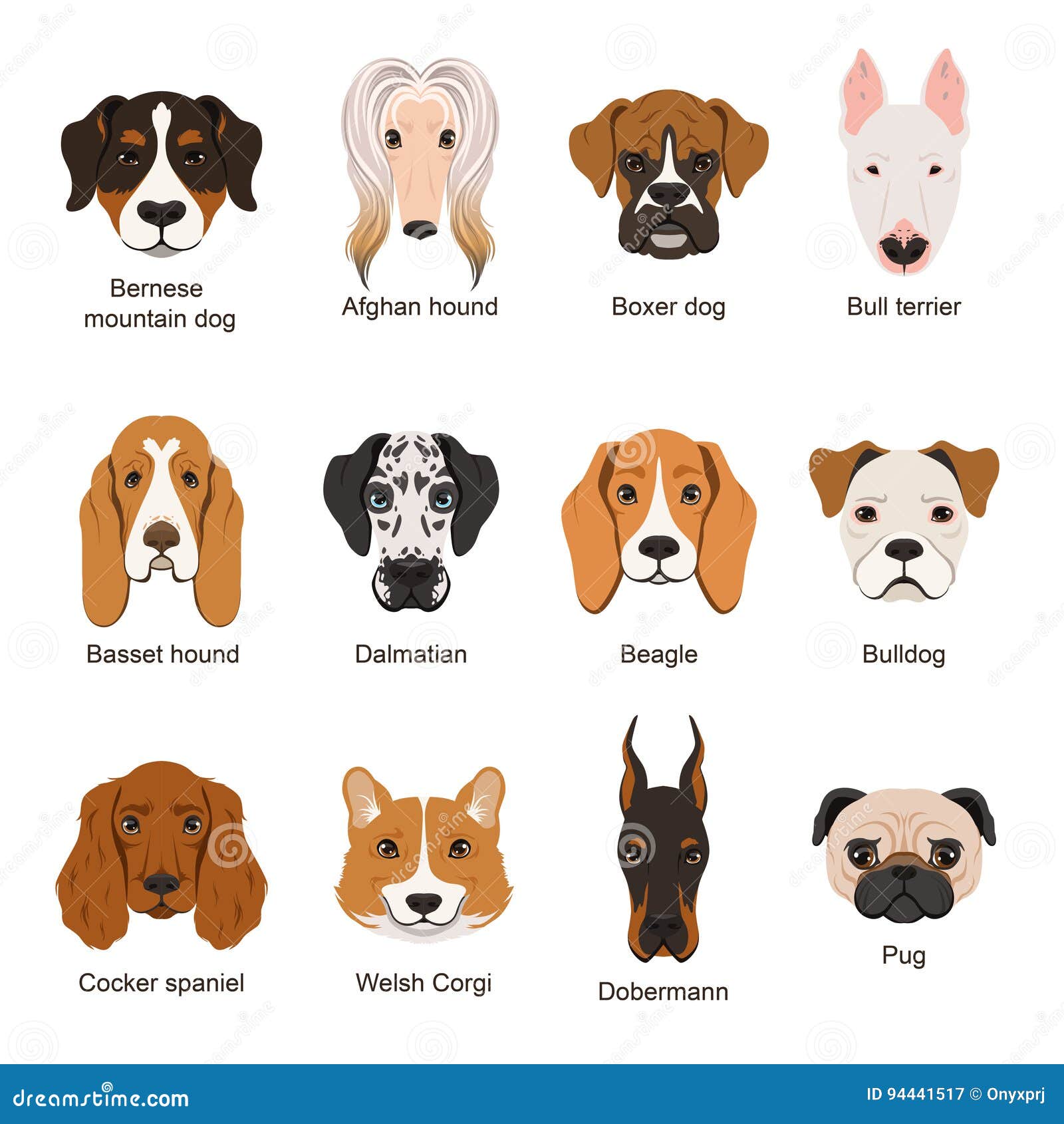 Different Dogs. Vector Illustrations Set Isolate on White Stock Vector ...