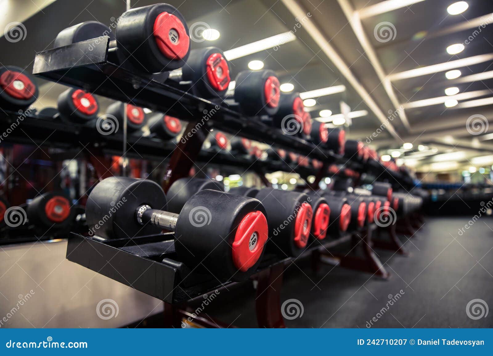 Different Dumbbells in Modern Gym Stock Image - Image of background ...