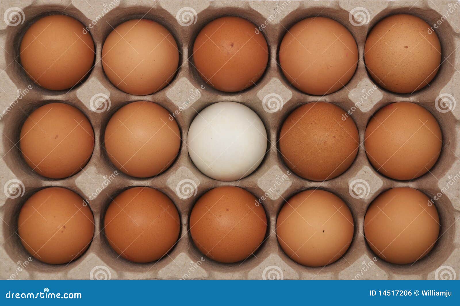 Different egg stock photo. Image of container, white - 14517206