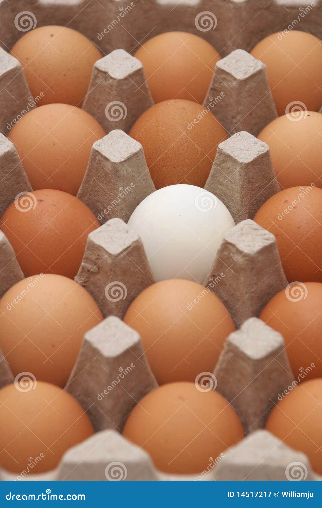 Different egg stock image. Image of shell, container - 14517217